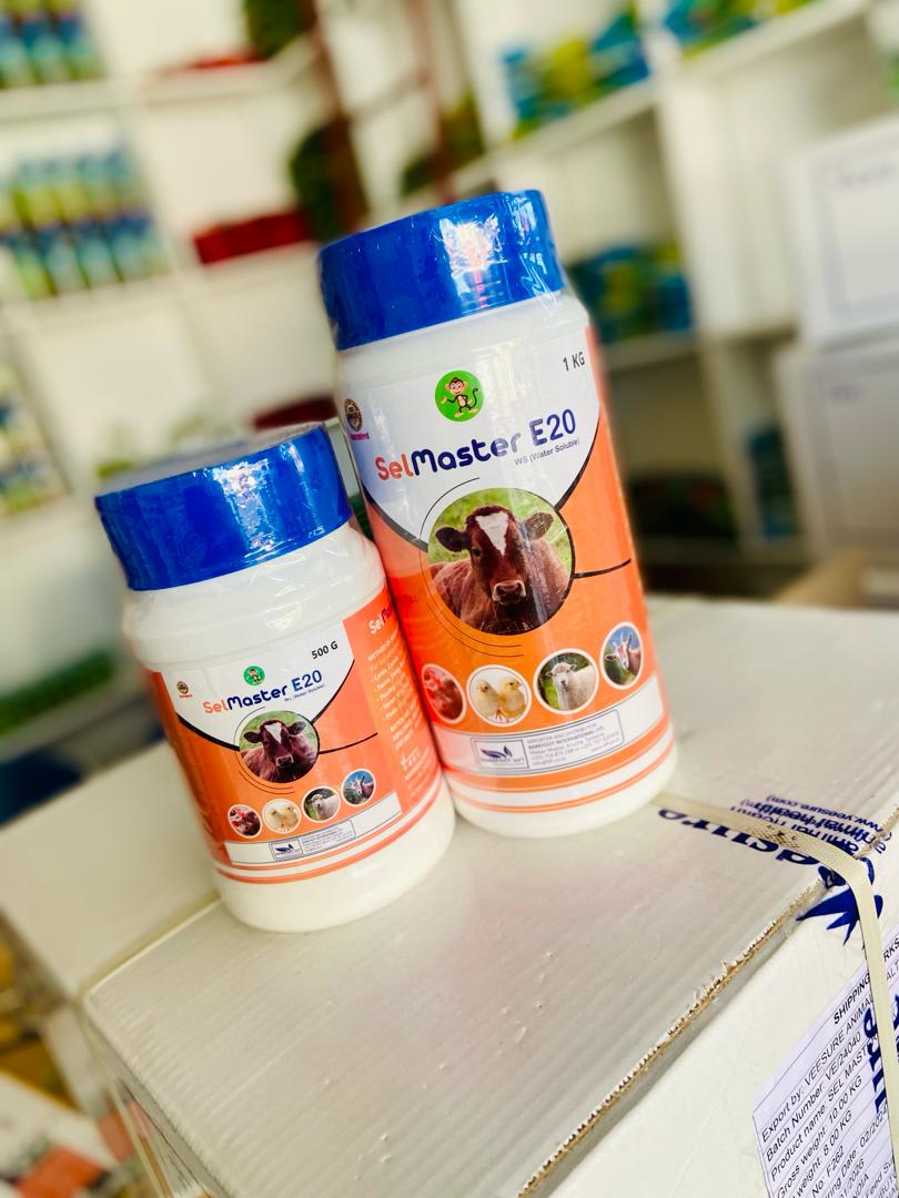 Products List - BAREFOOT INTERNATIONAL LTD